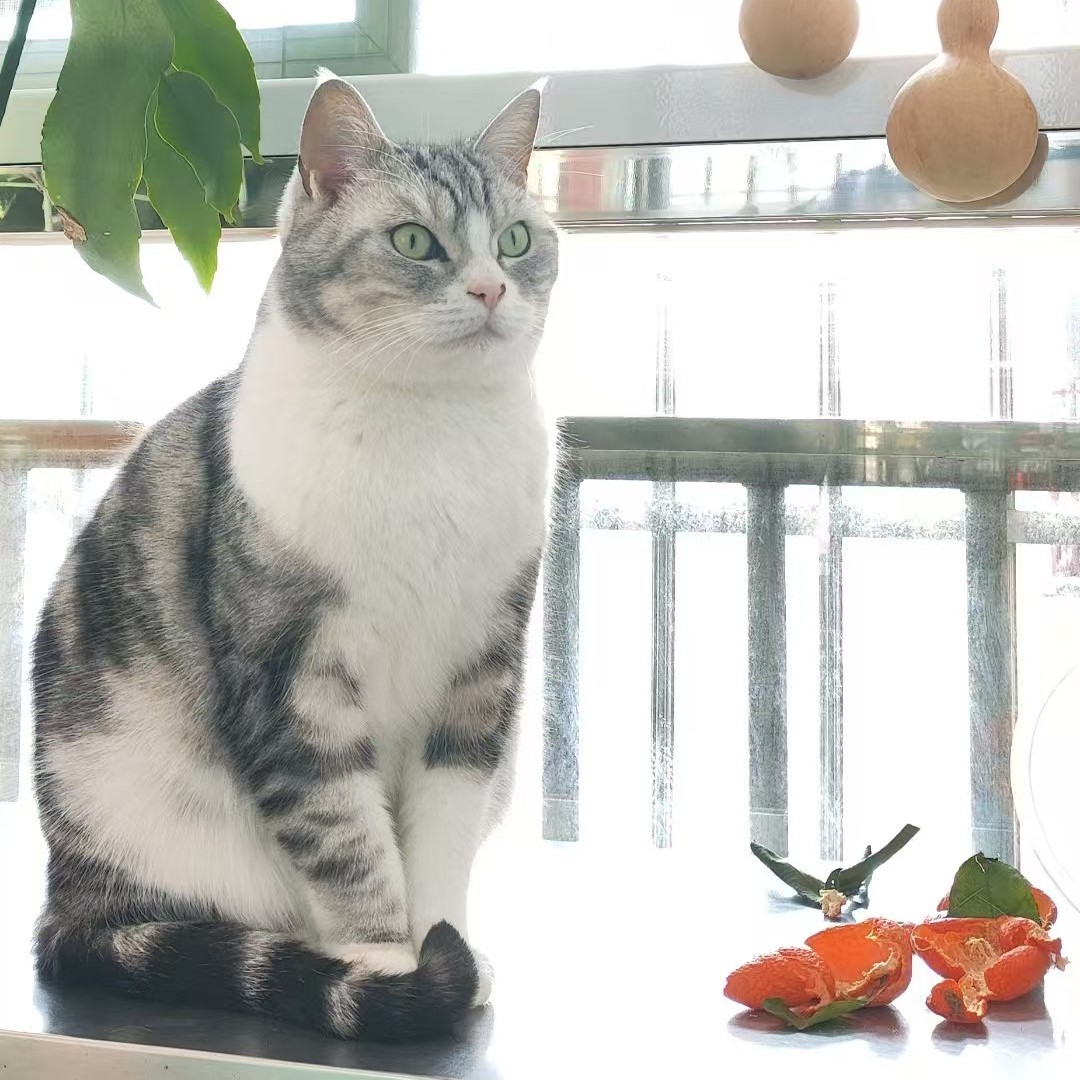 关于我 – Bin Sun